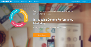 BrightEdge Reviews: Pricing & Software Features 2024 - Financesonline.com