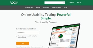 Loop11 Reviews: Pricing & Software Features 2024 - Financesonline.com