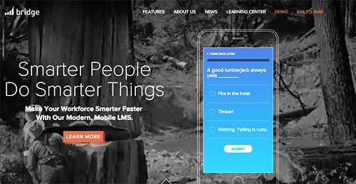 Bridge LMS Reviews: Overview, Pricing and Features