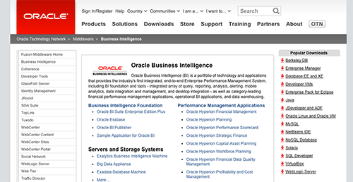 Oracle BI Reviews: Pricing & Software Features 2024 - Financesonline.com