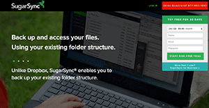 SugarSync Reviews: Pricing & Software Features 2024 - Financesonline.com