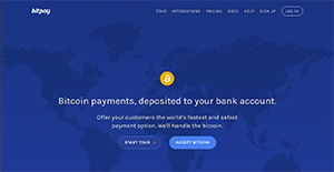 BitPay Reviews: Pricing & Software Features 2024 - Financesonline.com