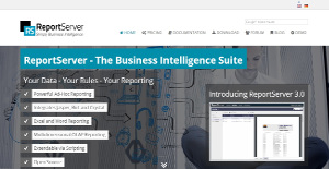 ReportServer Reviews: Pricing & Software Features 2024 - Financesonline.com