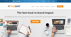 WebDAM Reviews: Pricing & Software Features 2024 - Financesonline.com