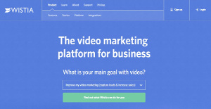 Wistia Reviews: Pricing & Software Features 2024 - Financesonline.com