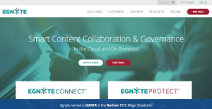 Egnyte Reviews: Pricing & Software Features 2024 - Financesonline.com