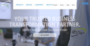 BizFlow BPM Reviews: Pricing & Software Features 2024 - Financesonline.com