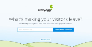 Crazy Egg Reviews: Pricing & Software Features 2024 - Financesonline.com