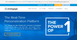 Evergage Reviews: Pricing & Software Features 2024 - Financesonline.com