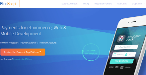 BlueSnap Reviews: Overview, Pricing and Features