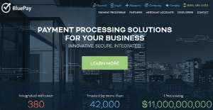 BluePay Reviews: Pricing & Software Features 2024 - Financesonline.com