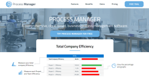 Process Manager Reviews: Pricing & Software Features 2024 ...