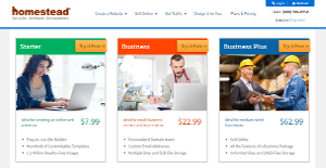Homestead Reviews: Pricing & Software Features 2024 - Financesonline.com
