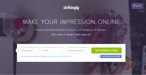 Strikingly Reviews: Pricing & Software Features 2024 - Financesonline.com