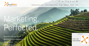 BrandMaker Media Pool Reviews: Pricing & Software Features 2024 ...