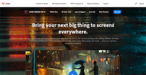 Adobe Premiere Pro Reviews: Pricing & Software Features 2024 ...