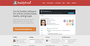 BuddyPress Reviews: Pricing & Software Features 2024 - Financesonline.com