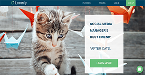 Loomly Reviews: Pricing & Software Features 2024 - Financesonline.com