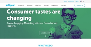 Selligent Reviews: Pricing & Software Features 2024 - Financesonline.com