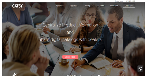 Catsy Reviews: Pricing & Software Features 2024 - Financesonline.com