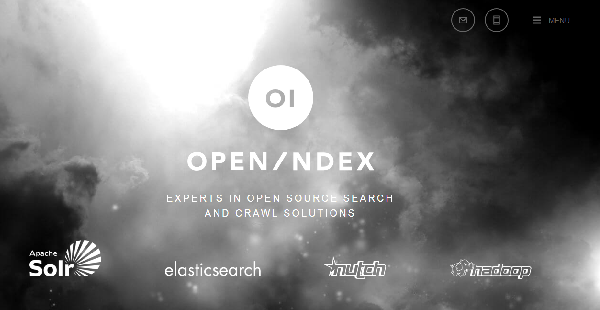 Openindex Site Search Reviews: Pricing & Software Features 2024 ...
