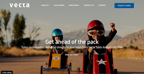 Vecta Reviews: Pricing & Software Features 2024 - Financesonline.com