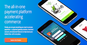 BlueSnap Reviews: Pricing & Software Features 2019 - Financesonline.com