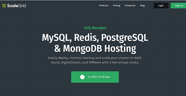 ScaleGrid Reviews: Overview, Pricing and Features