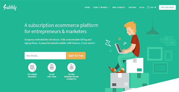 Subbly Reviews: Pricing & Software Features 2024 - Financesonline.com