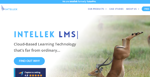 Intellek LMS Reviews: Pricing & Software Features 2024 - Financesonline.com
